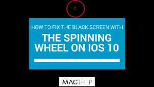 How to Fix the Black Screen with The Spinning Wheel On iOS 10? – MacTip